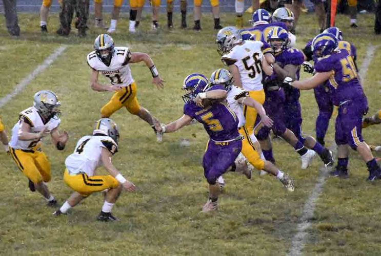 Improving Golden Flashes see light at end of tunnel | News, Sports ...